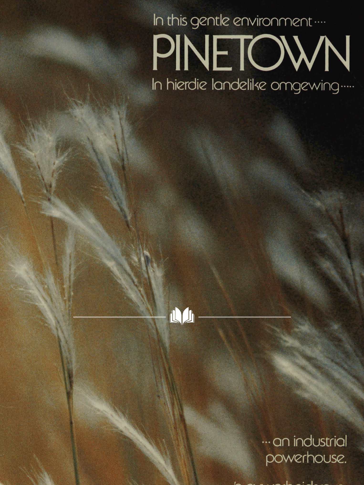 KwaZulu-Natal - South African History